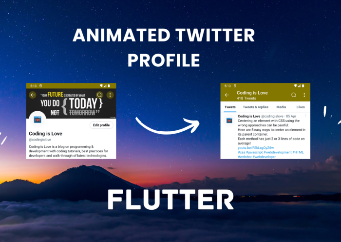 Animated Twitter profile in Flutter | Can it be done in Flutter? - Coding is Love